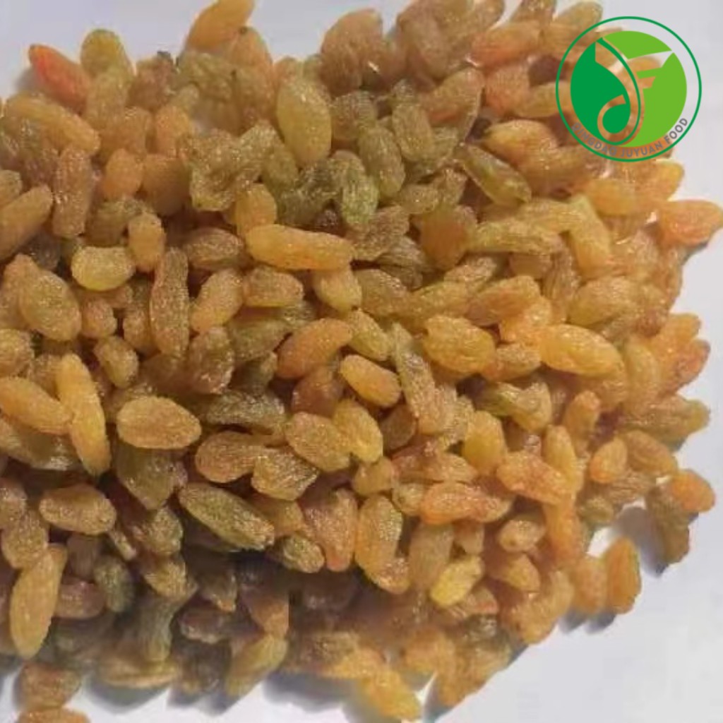 JuYuan Food Co., Ltd