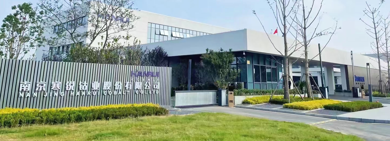 Nanjing Hanrui Cobalt Co., Ltd.